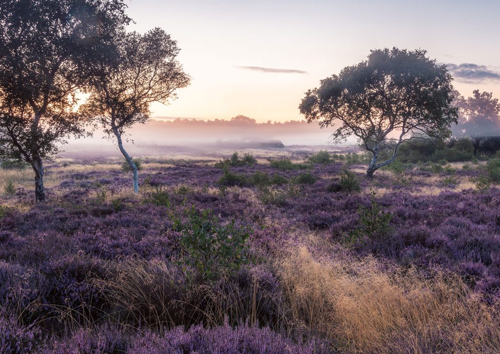 Suffolk Coast and Heaths Workshop Photography Tuition - Gill Moon ...