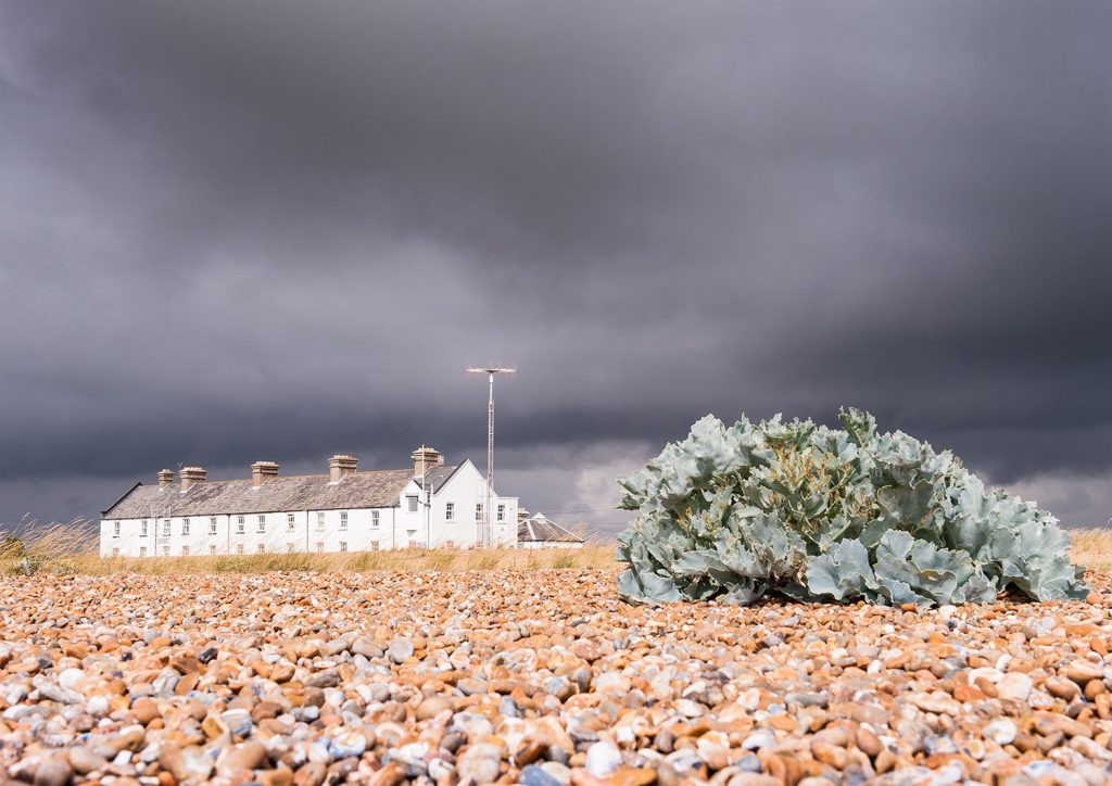 Observation in photography - Gill Moon Photography