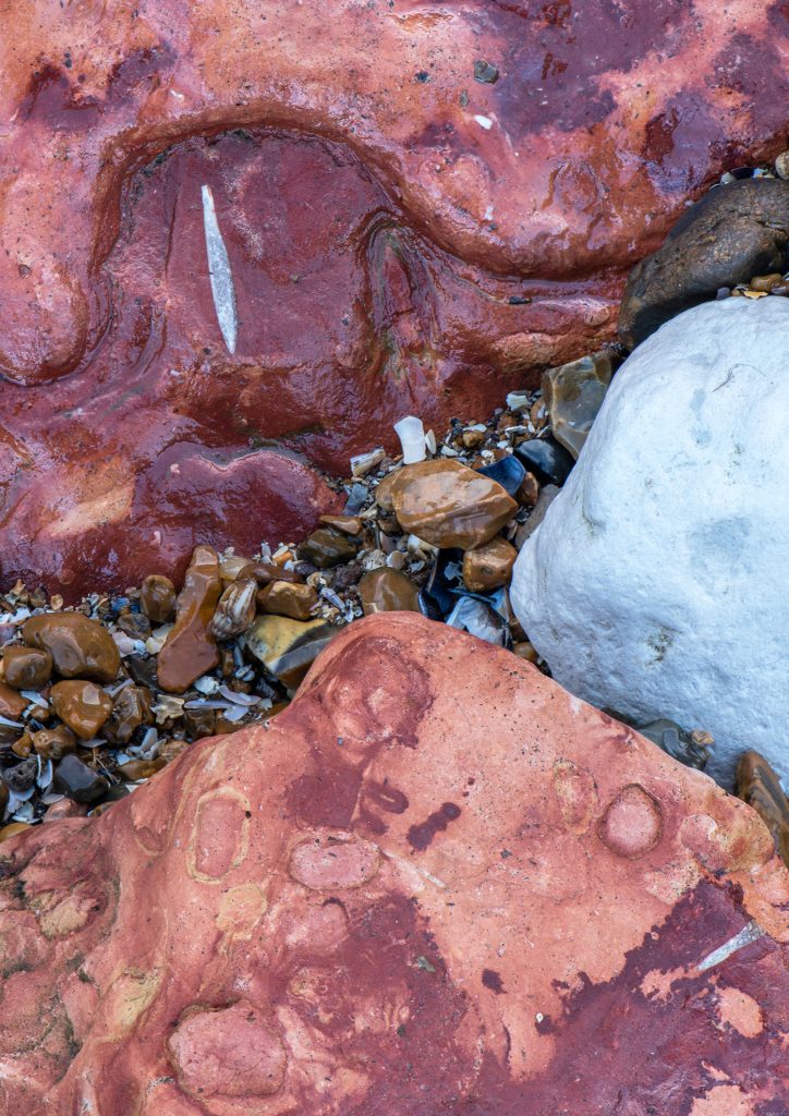 Norfolk Coast 2026Spring Workshop - Gill Moon Photography